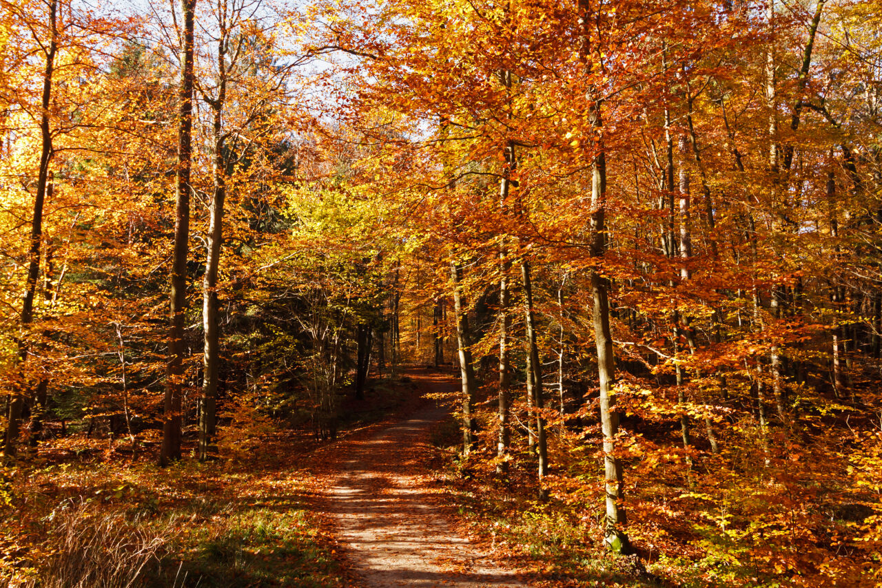 Trails - Genesee County Parks