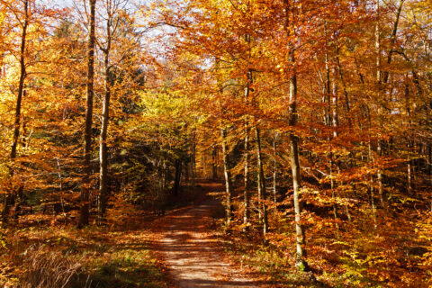 Trails - Genesee County Parks