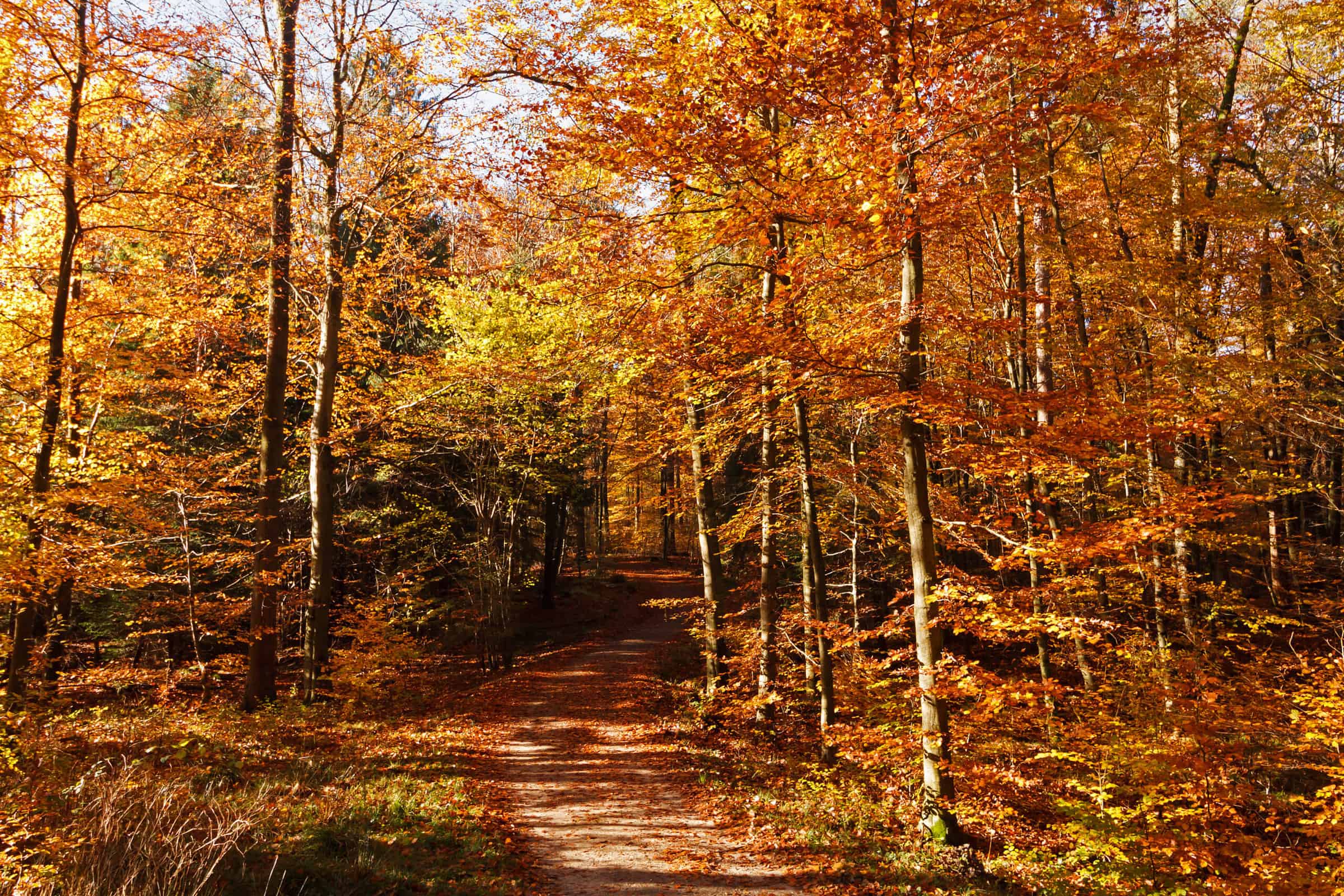 Trails - Genesee County Parks