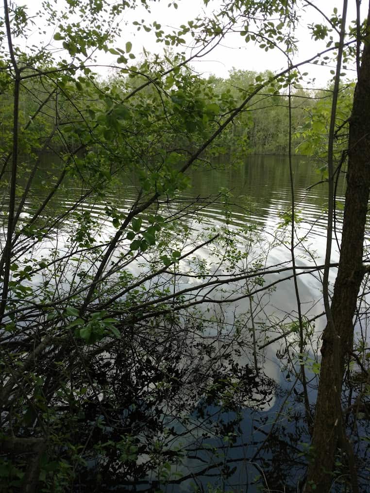 Other Fishing Sites - Genesee County Parks