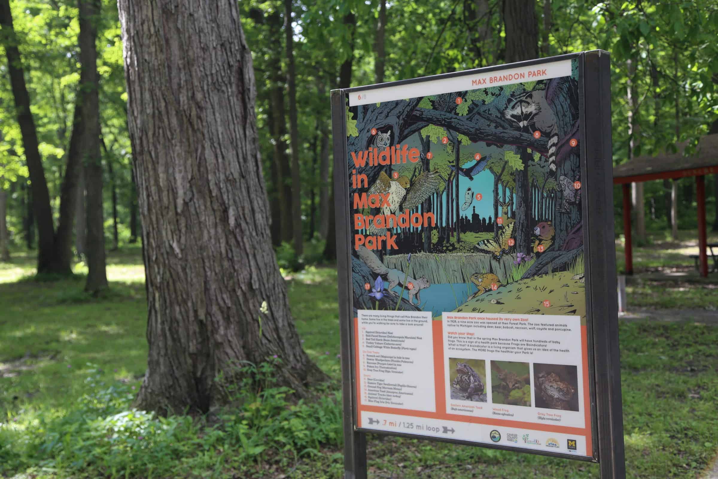 Max Brandon Park - Genesee County Parks