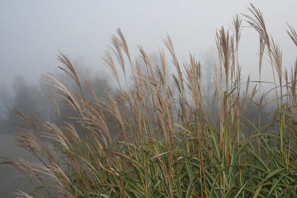 Holloway Reservoir Regional Park - Genesee County Parks